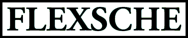 FLEXSCHE - 中央コンピューター | 貴社ビジネスのIT共創者